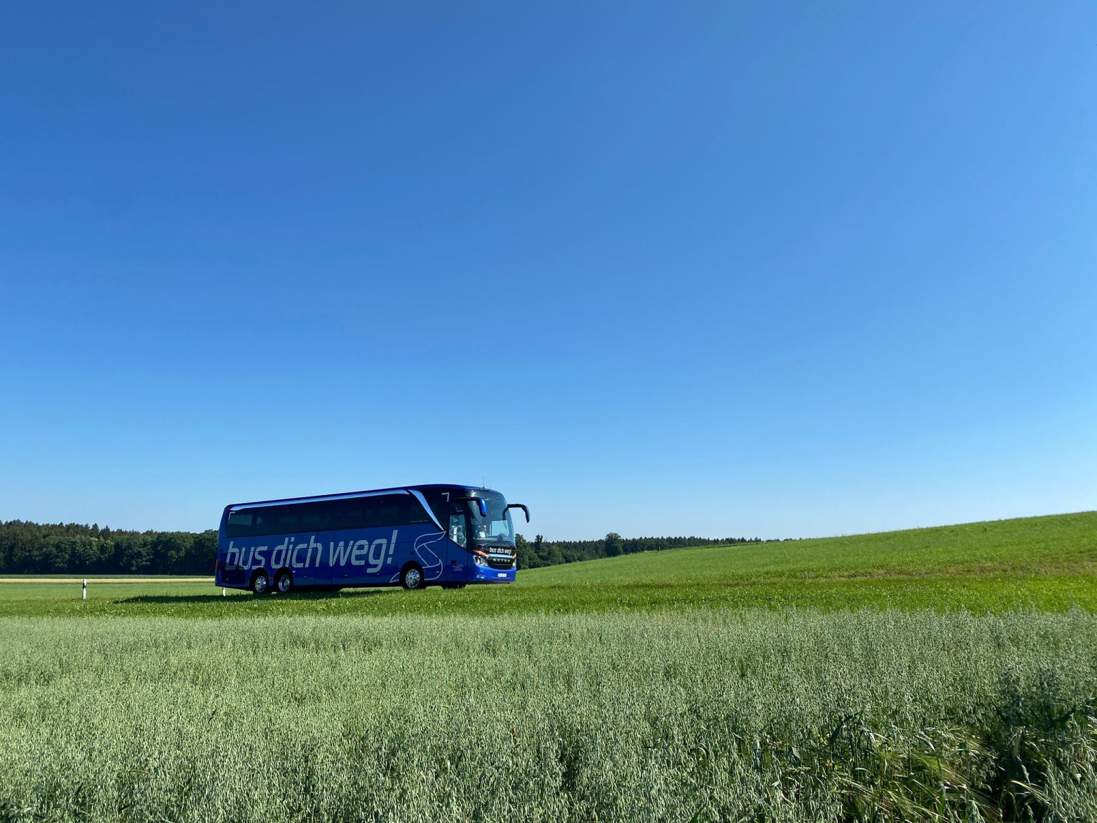 bus dich weg! Story – bus dich weg!